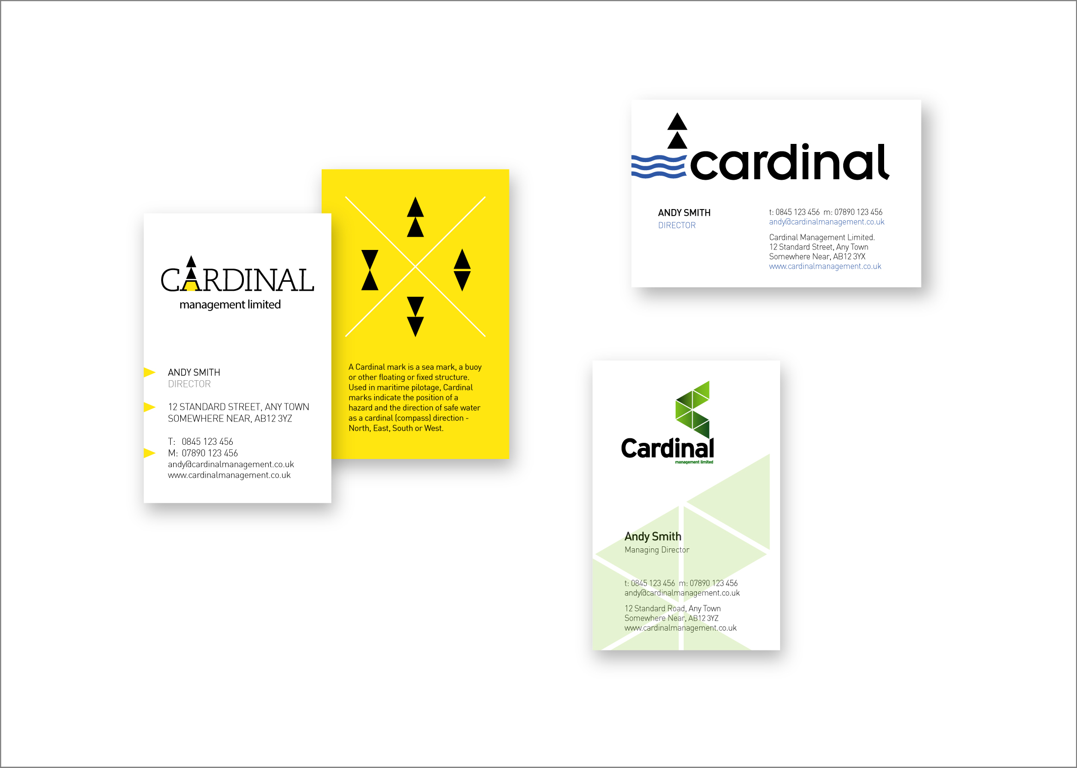 Cardinal Management – Think it Big Limited